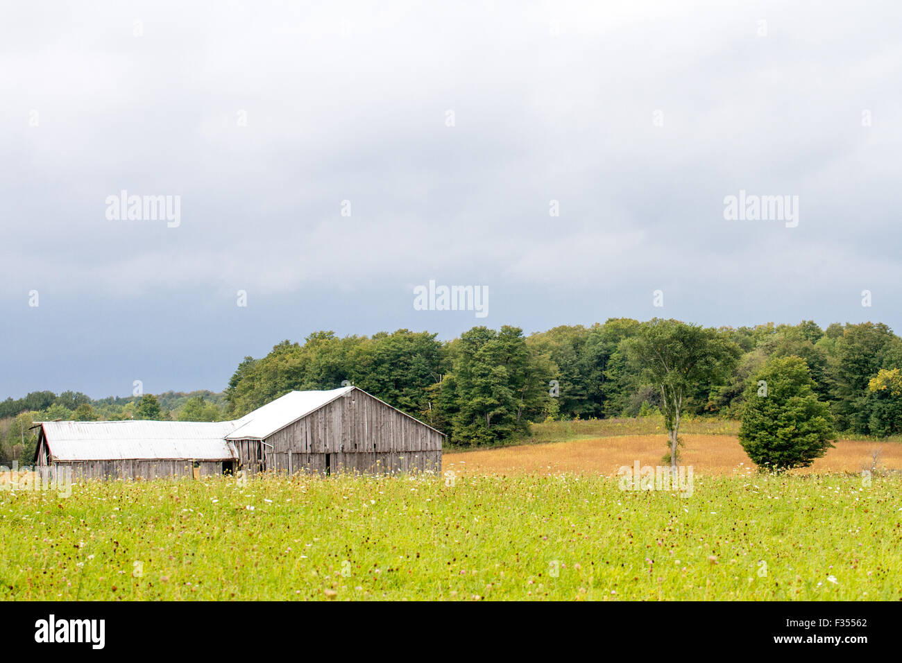 Day farm hi-res stock photography and images - Alamy