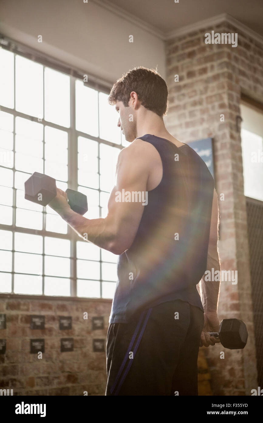 Rear view of focused man lifting dumbbells Stock Photo - Alamy