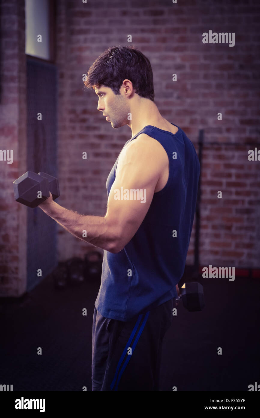 Side view of serious man lifting dumbbells Stock Photo - Alamy