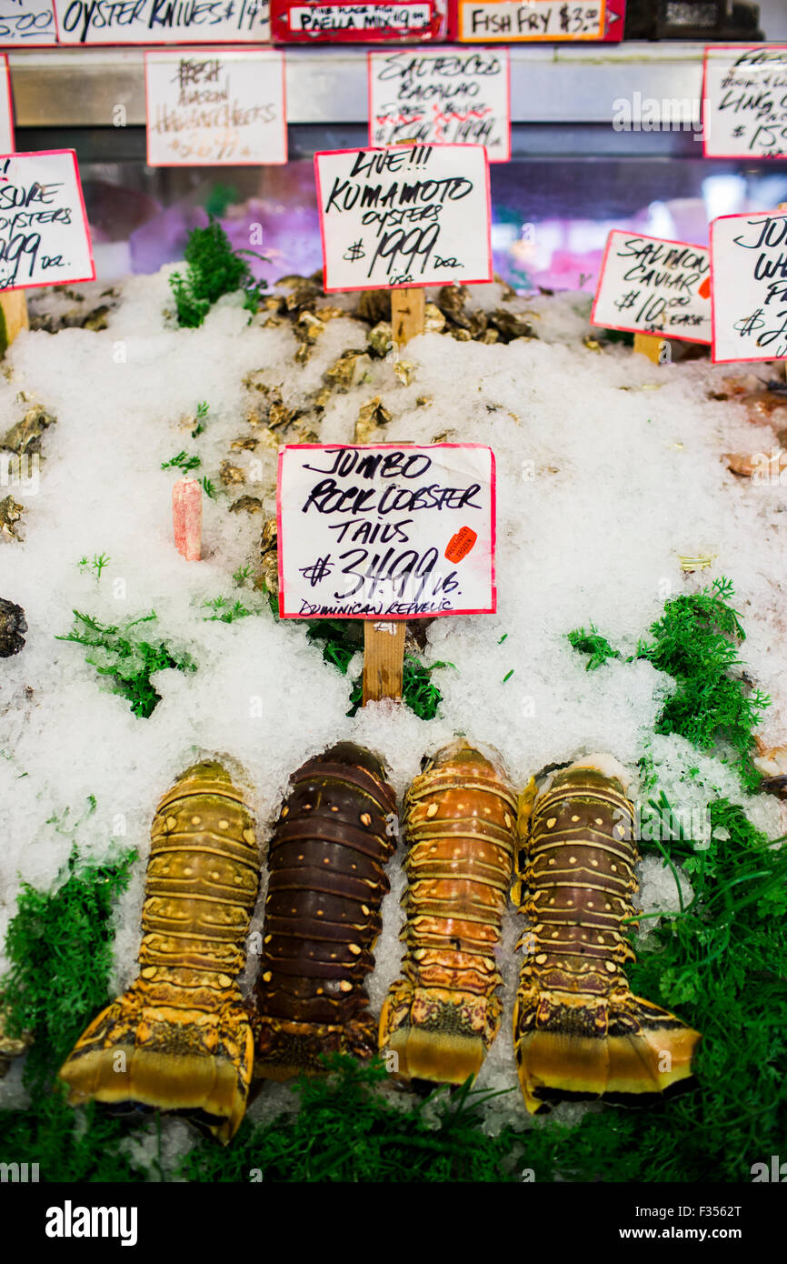 Lobster stand hi-res stock photography and images - Alamy