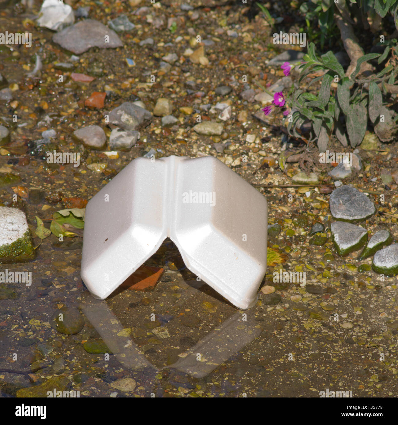 Litter in town centre stream Stock Photo - Alamy