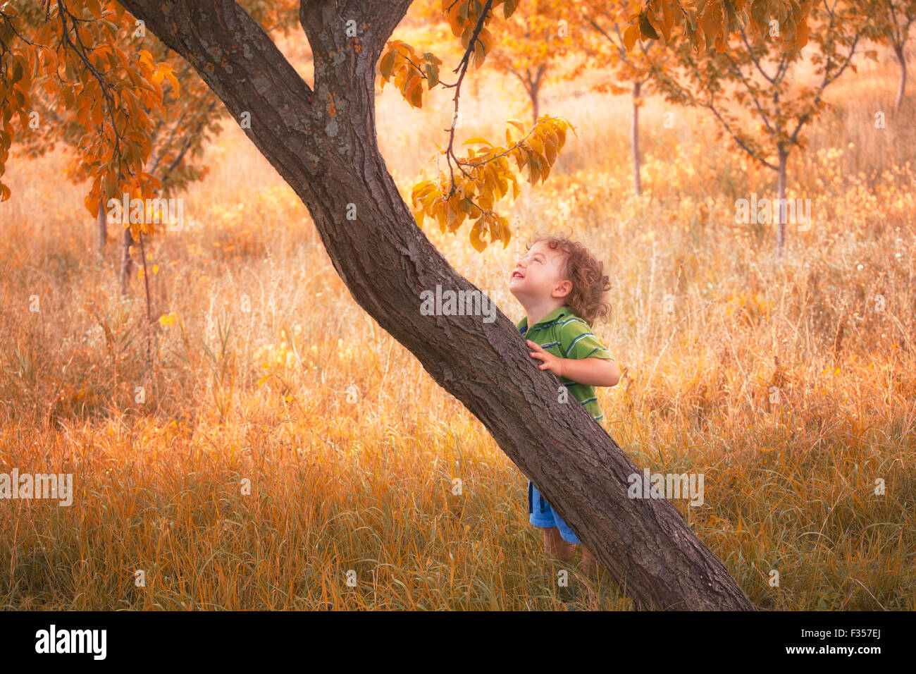 Kid playing in orchard hi-res stock photography and images - Alamy