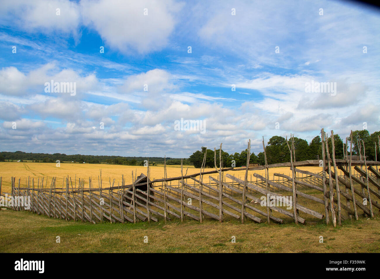 Beautiful wheat field landscape with wooden fence Stock Photo - Alamy