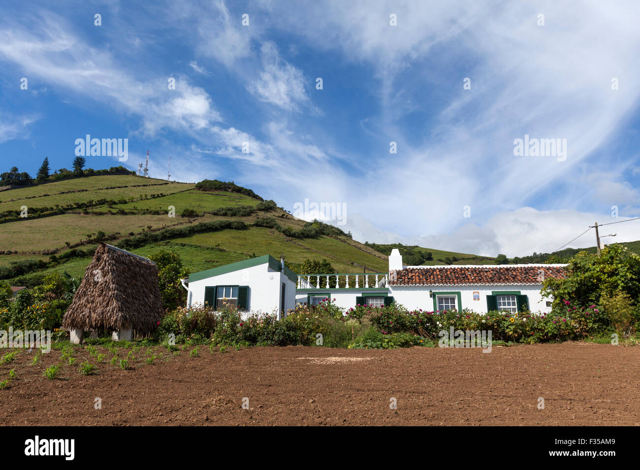 Azores hydrangea farm hi-res stock photography and images - Alamy