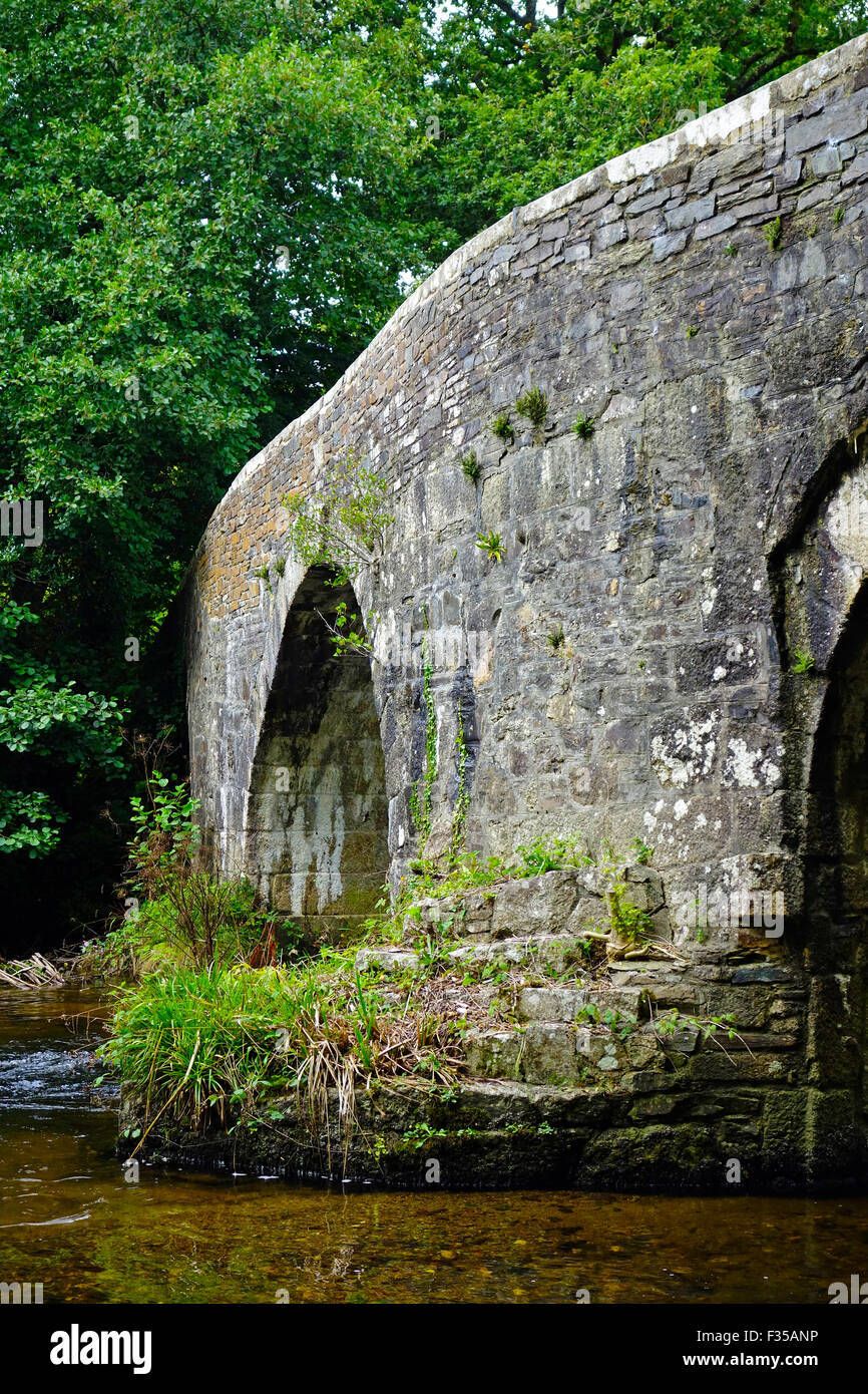 River Fowey and Respryn Bridge, Cornwall, England, UK Stock Photo - Alamy