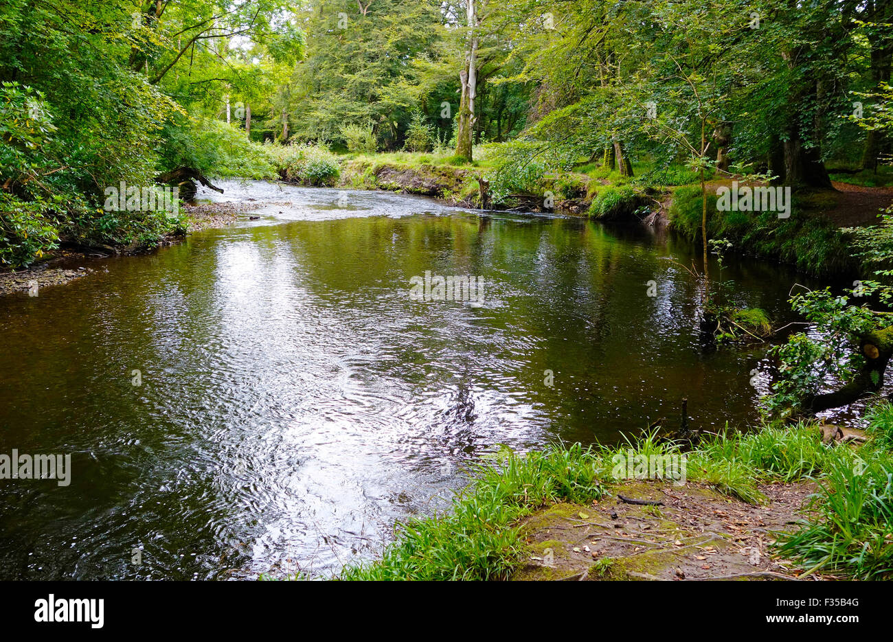 River Fowey, Cornwall, England, UK Stock Photo - Alamy