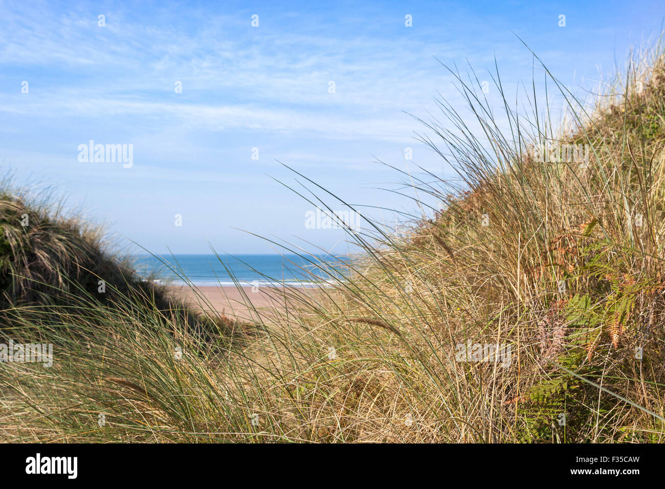 Playa devon hi-res stock photography and images - Alamy