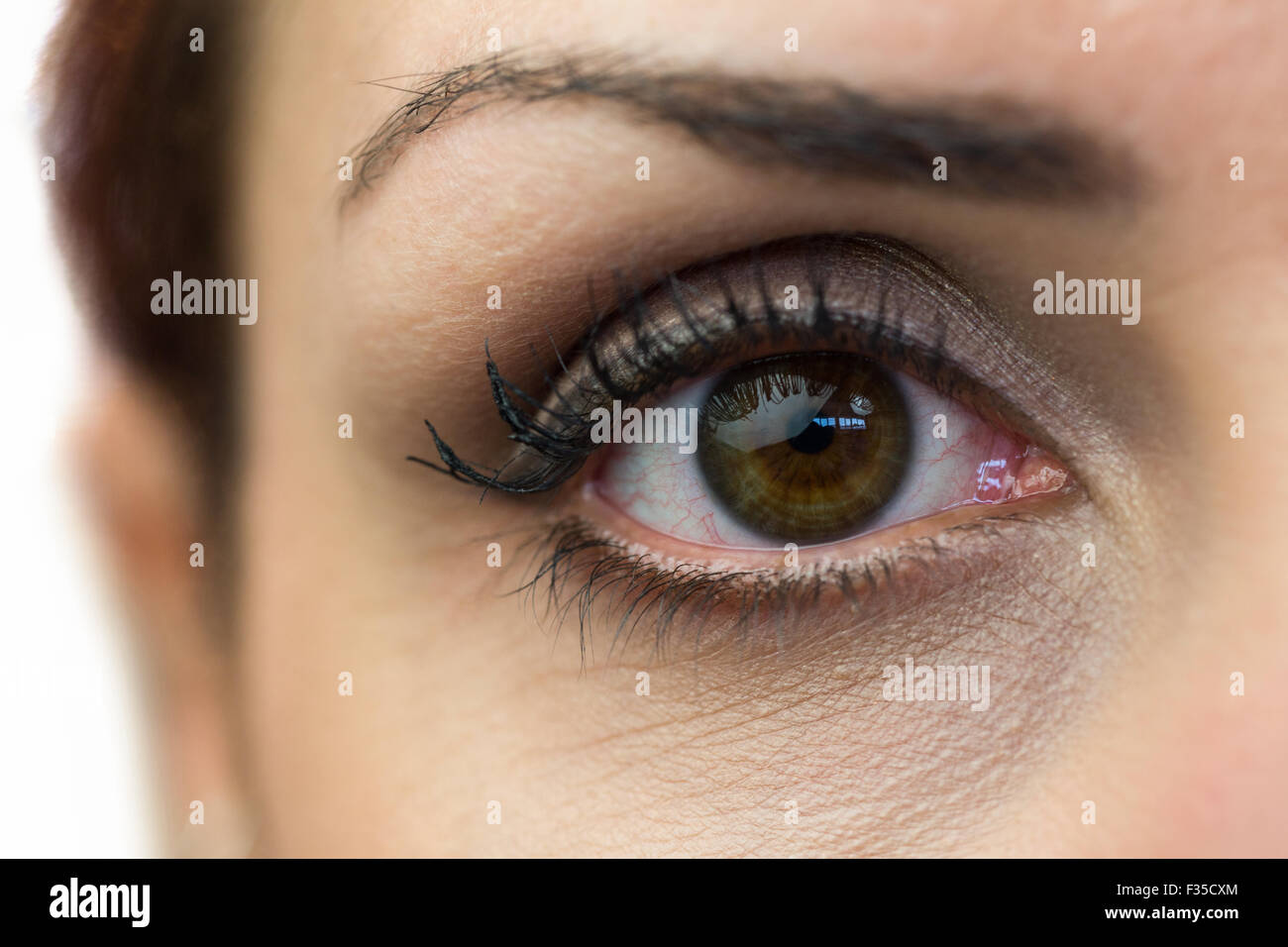 Woman eyes looking camera macro hi-res stock photography and images - Alamy