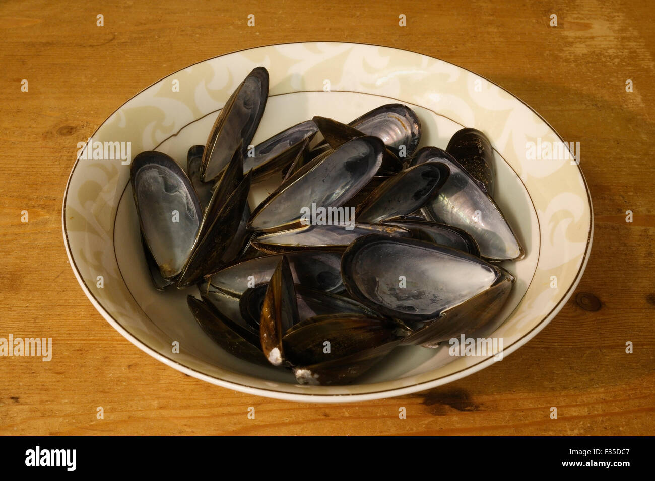 Mussel shells hi-res stock photography and images - Alamy