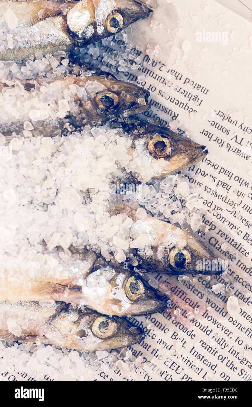Sardines sprinkled salt on the newspaper Stock Photo - Alamy