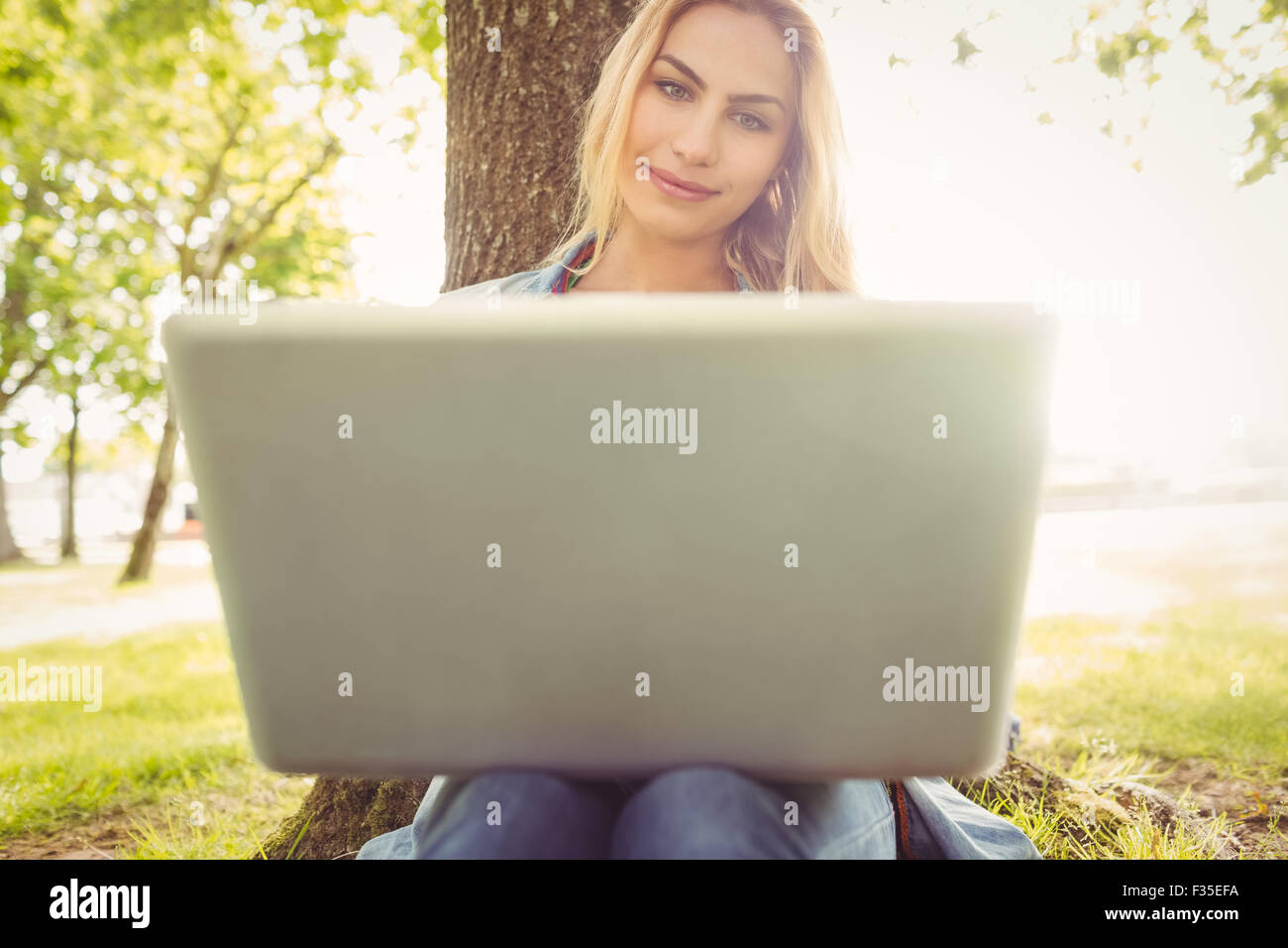 Laptop under tree hi-res stock photography and images - Alamy