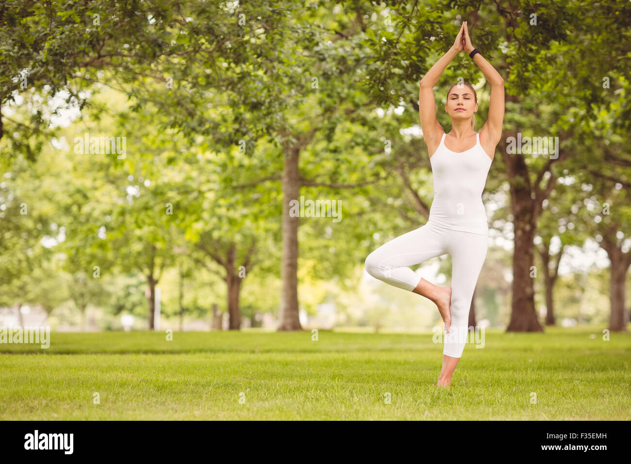 Woman standing in tree pose at park Stock Photo - Alamy