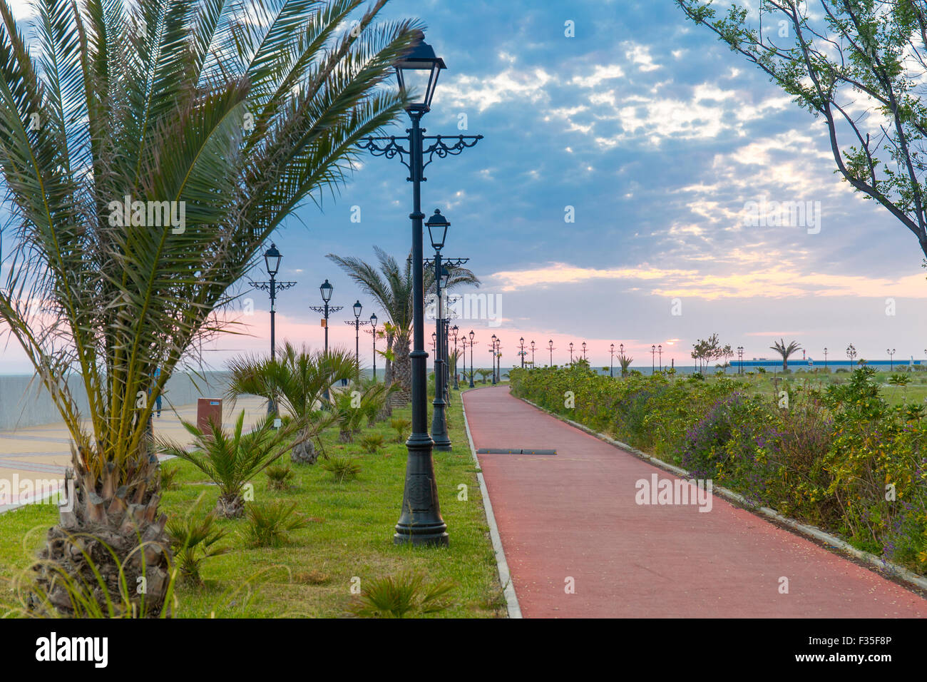Sea embankment path poad palm tree sunset Stock Photo - Alamy