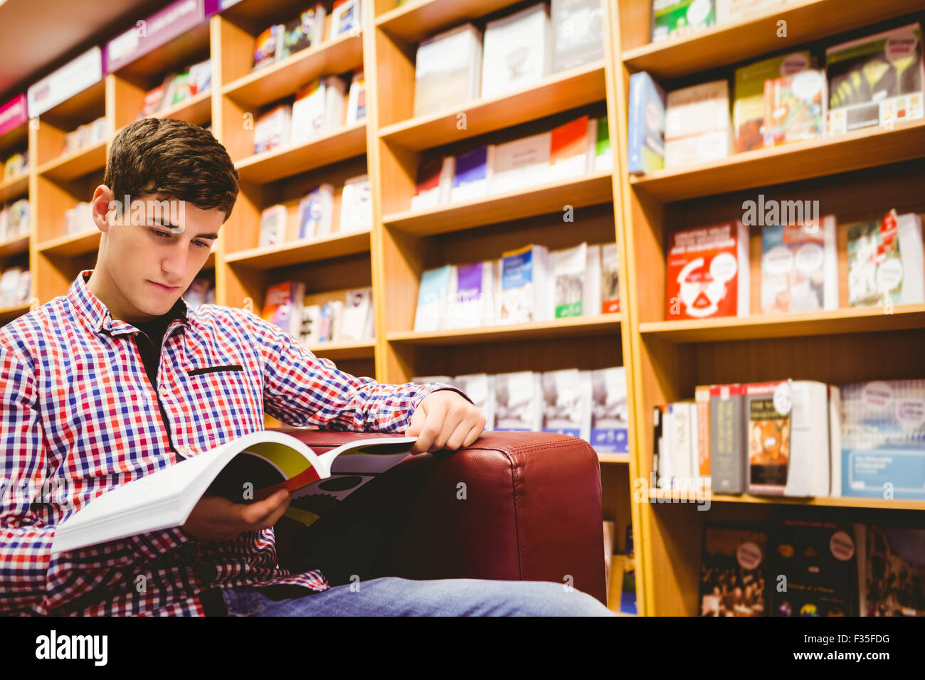 Concentrated young man reading book in library Stock Photo - Alamy