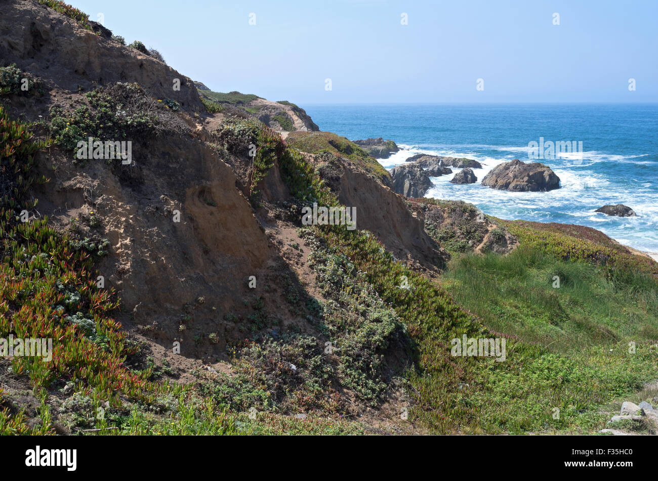 bodega head peninsula in sonoma county state park off pacific coast of ...