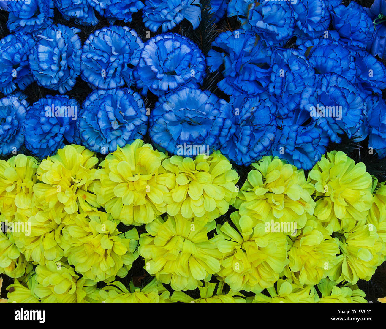 Ukrainian flower hi-res stock photography and images - Alamy
