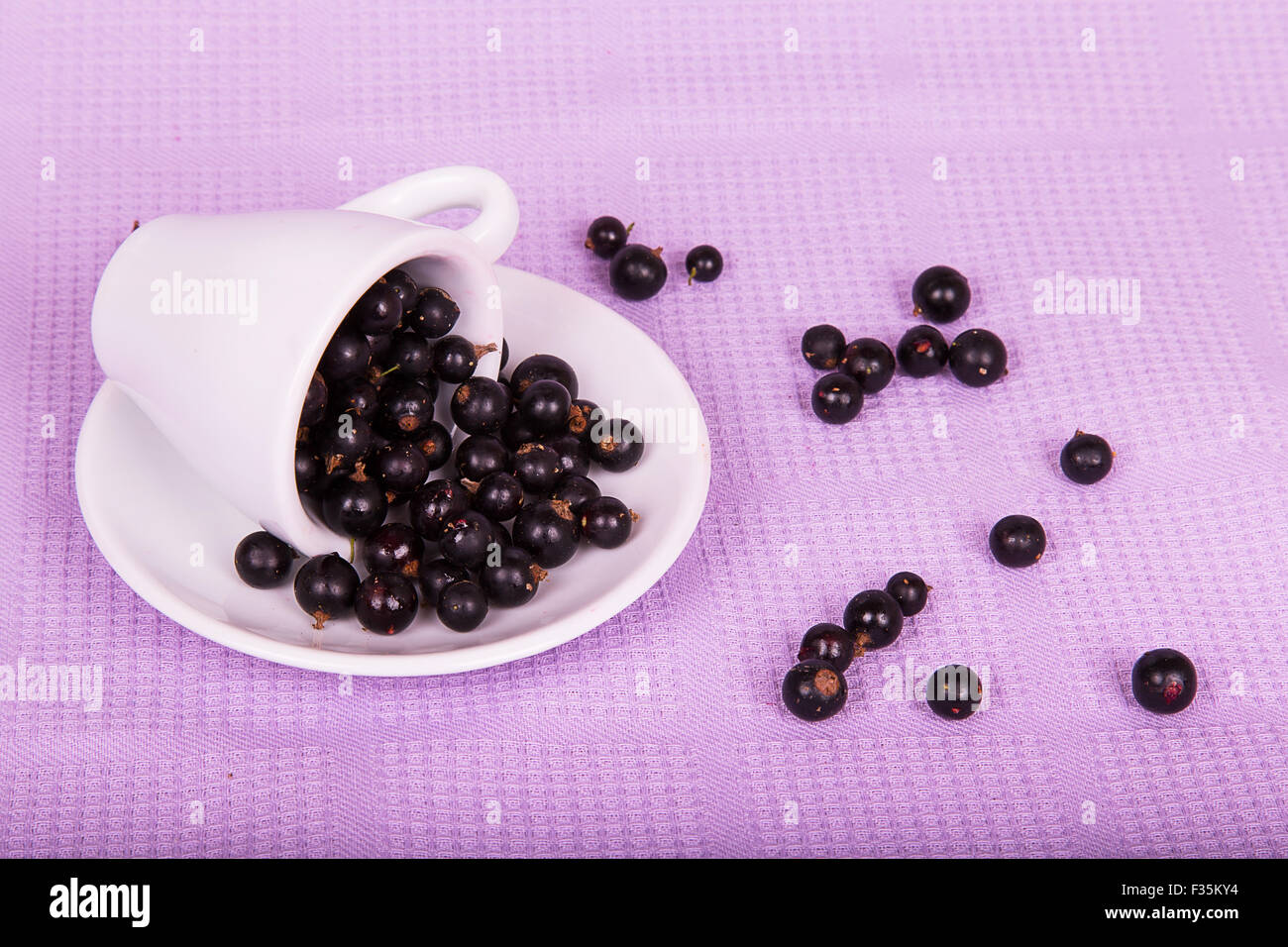 Inverted white cup with black currants on a purple background Stock ...