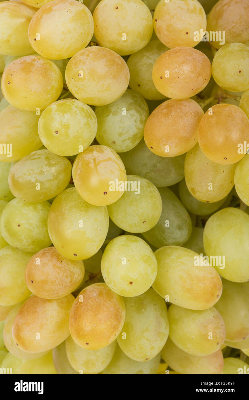 Juicy green grapes close-up isolated on a white background Stock Photo ...