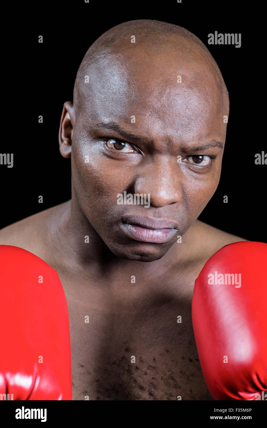 Portrait of serious bald boxer in red gloves Stock Photo - Alamy