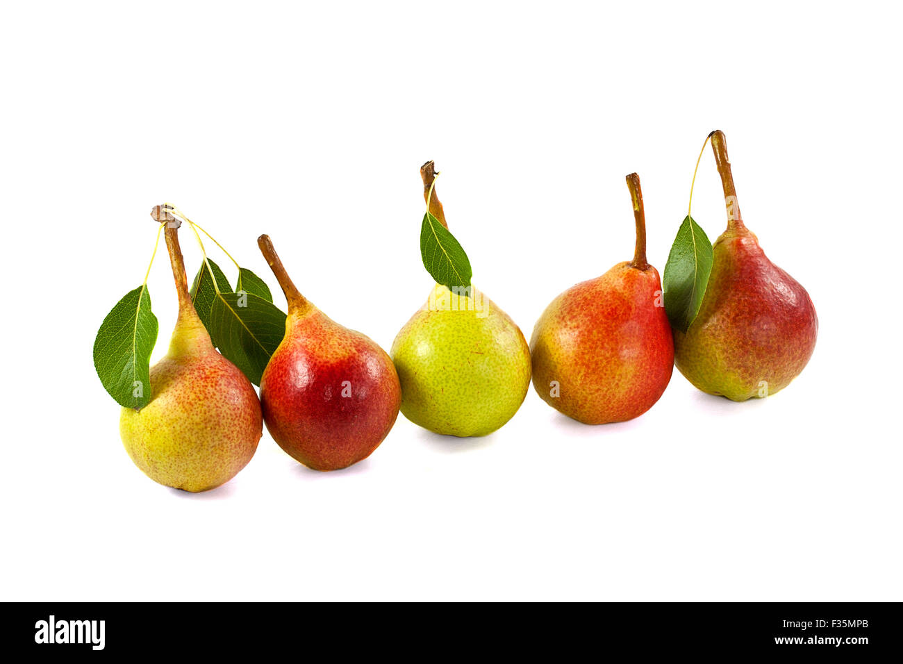 five fresh sweet pears in line isolated on white background Stock Photo ...