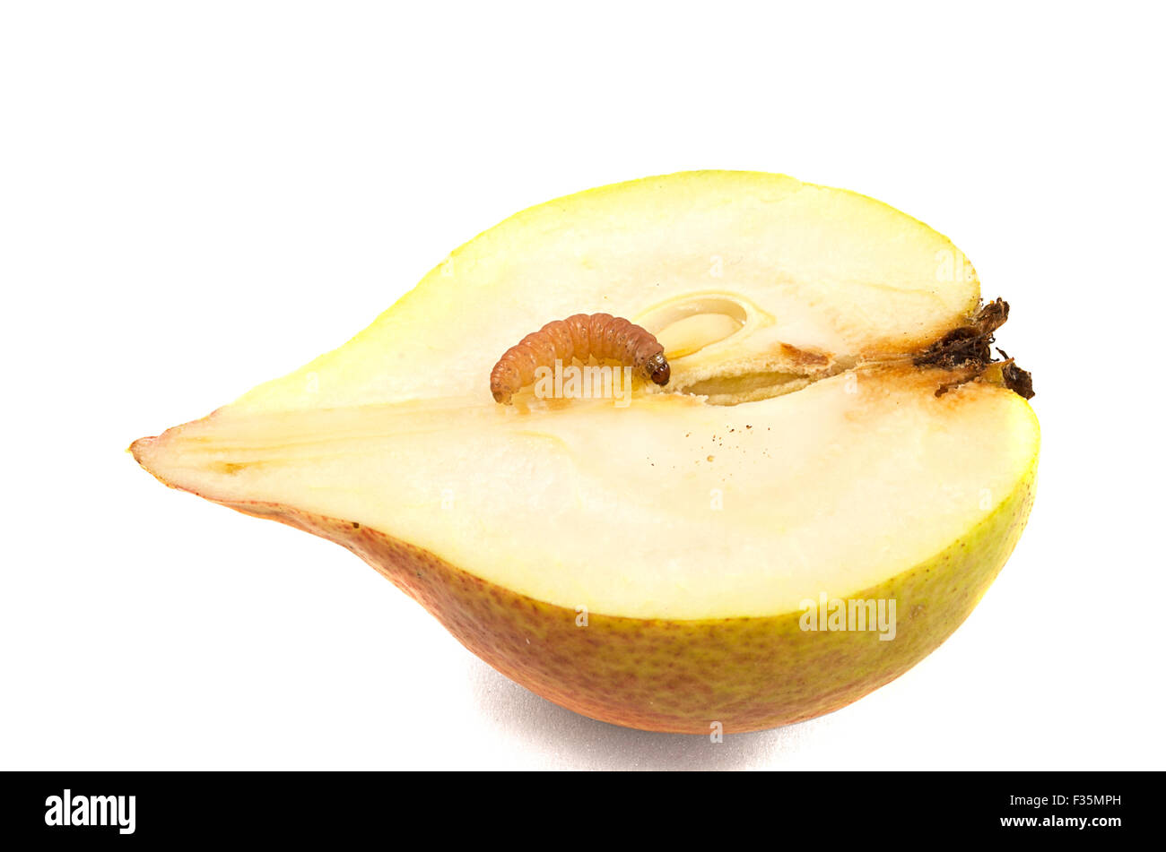 worm on half of ripe sweet pear isolated on the white background Stock ...