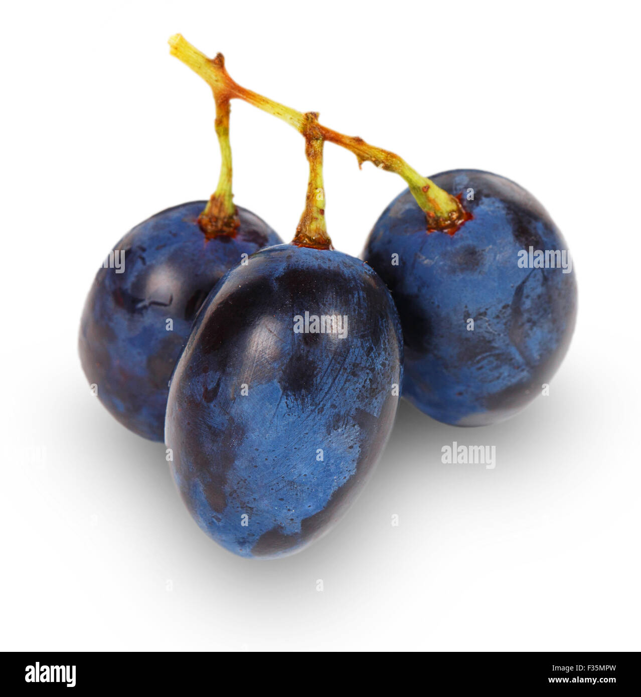 Fresh blue grape fruit isolated on white background Stock Photo - Alamy
