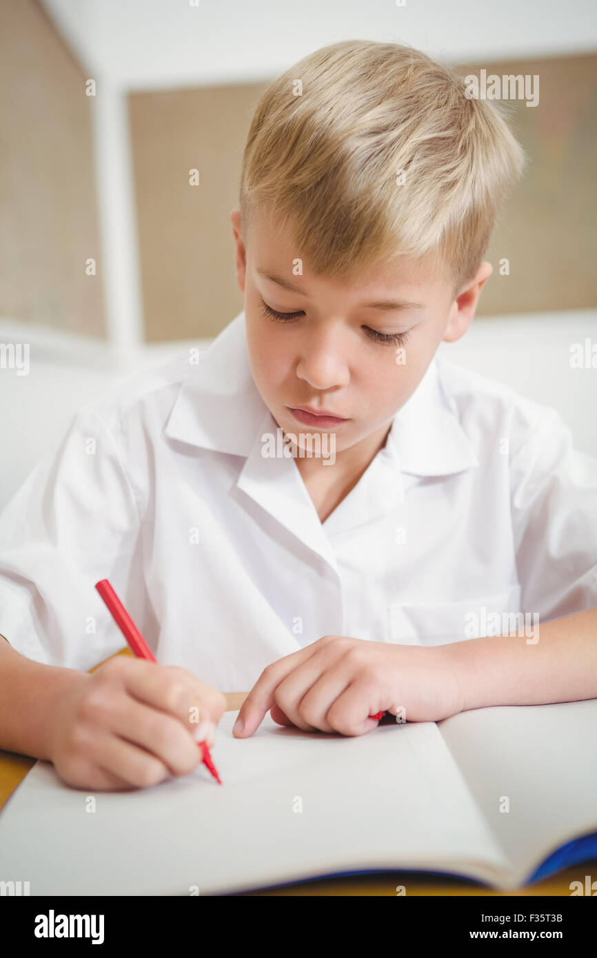 Busy Students Working On Class Stock Photos & Busy Students Working On ...
