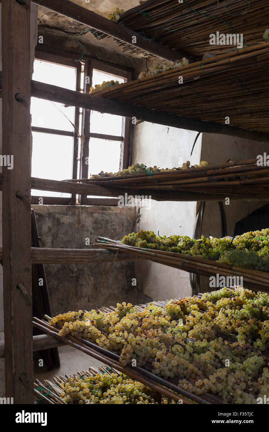 grape drying room Stock Photo - Alamy