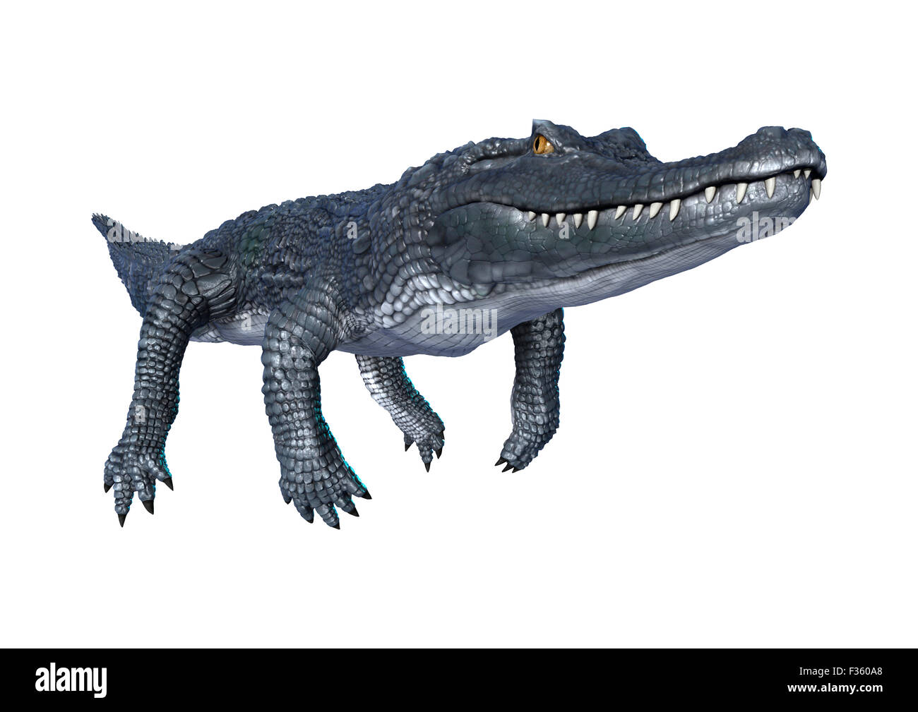 Amazon cayman Cut Out Stock Images & Pictures - Alamy