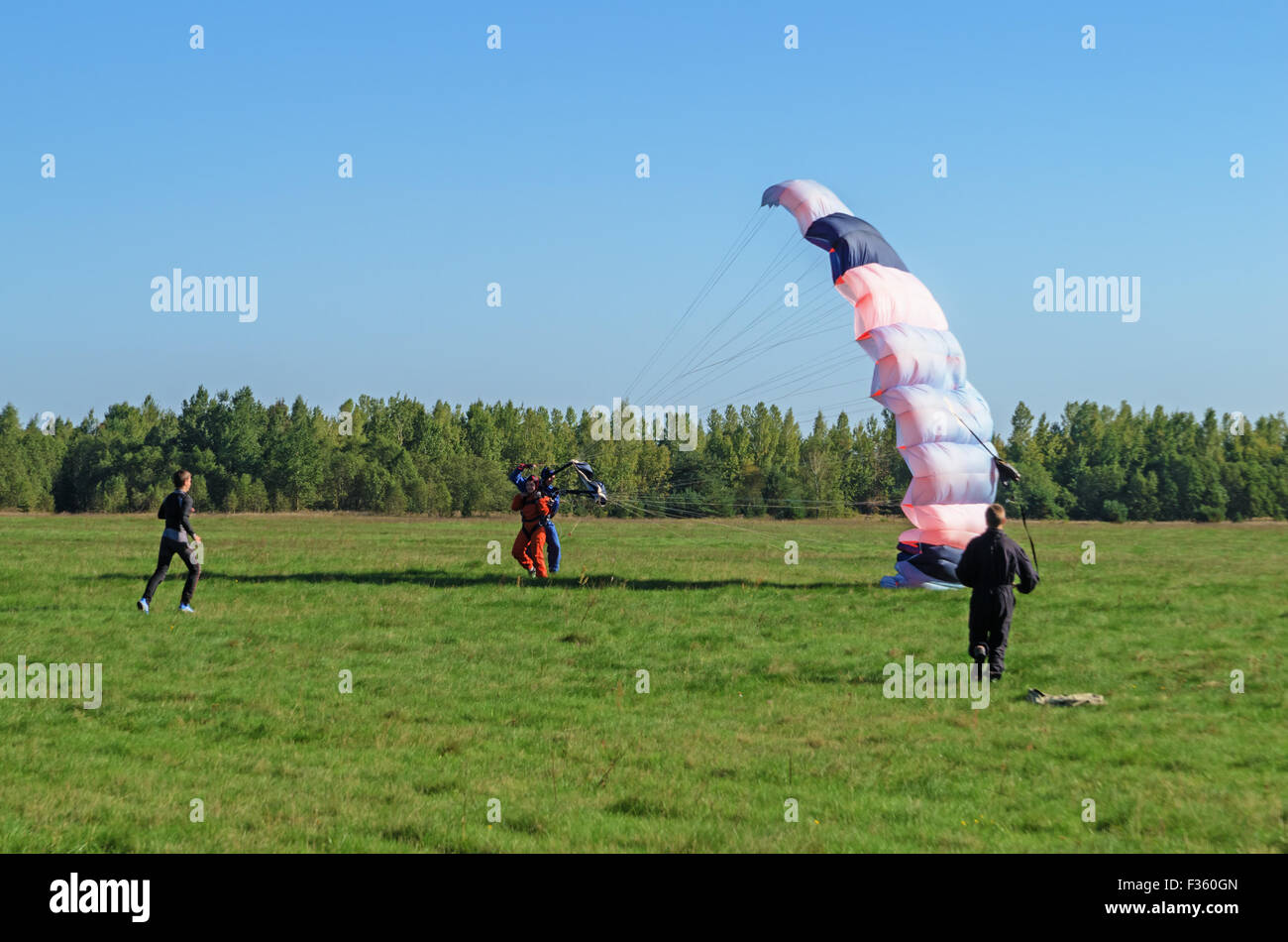 Parachutists - 2014. Tandem parachute landing Stock Photo - Alamy