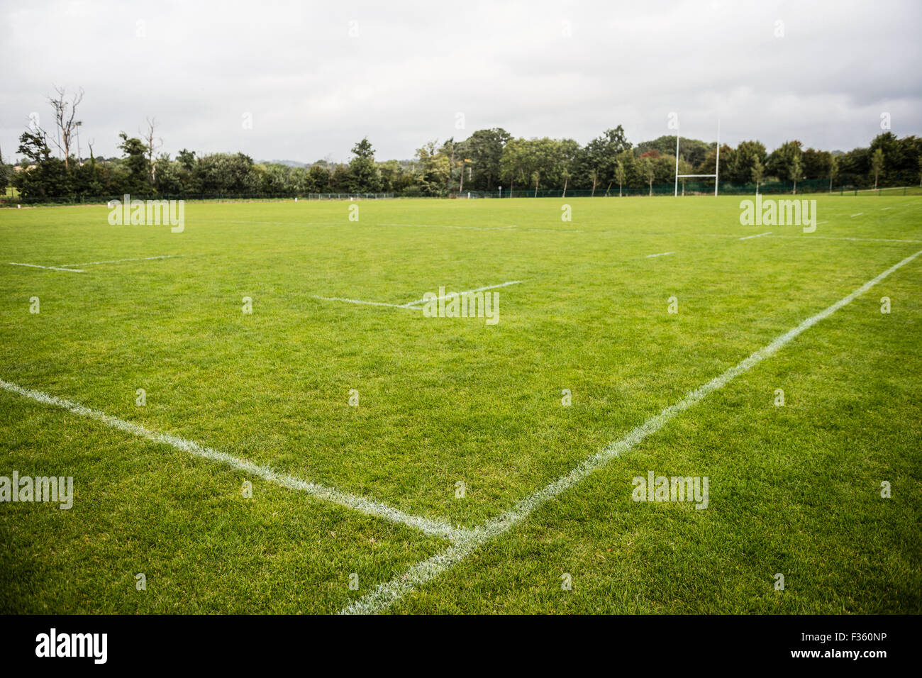 Empty rugby pitch Stock Photo - Alamy
