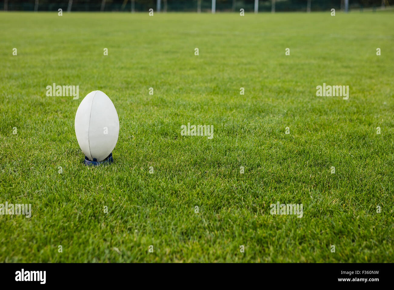 Ball on the pitch hi-res stock photography and images - Alamy