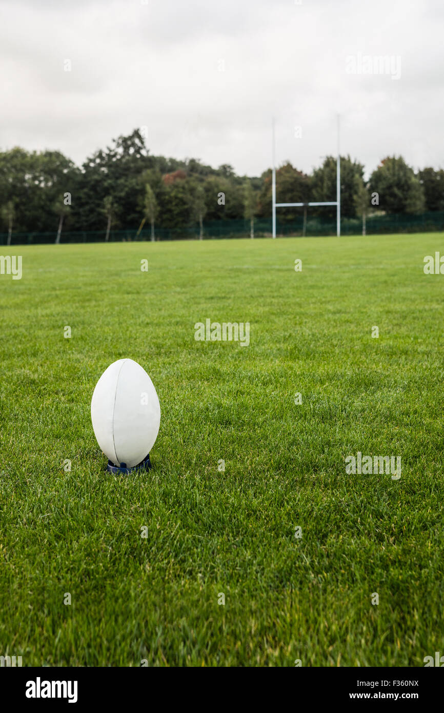 Rugby ball on the pitch Stock Photo - Alamy