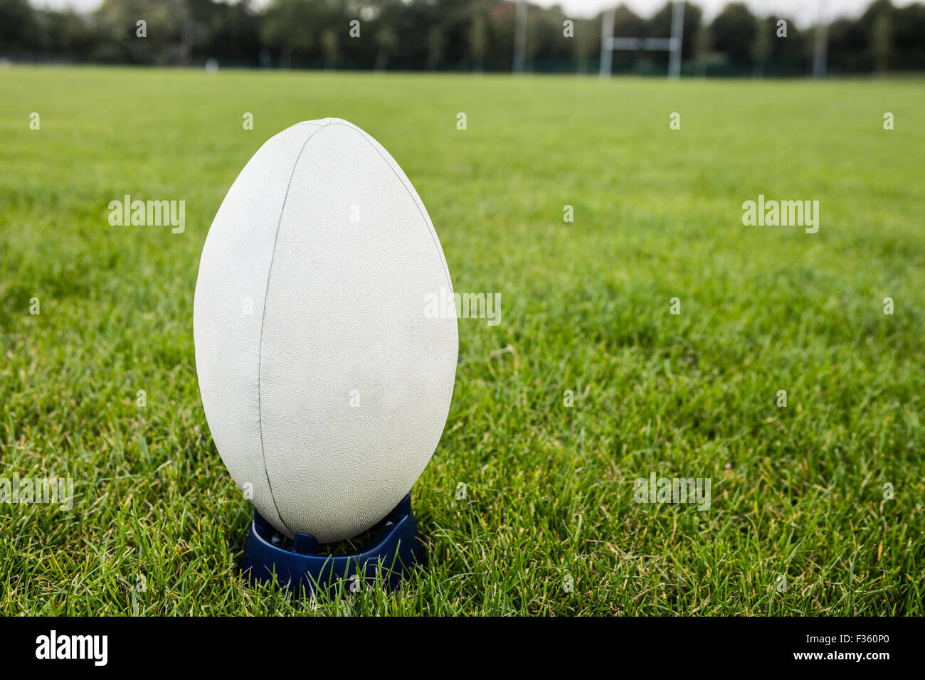 Rugby ball on the pitch Stock Photo - Alamy