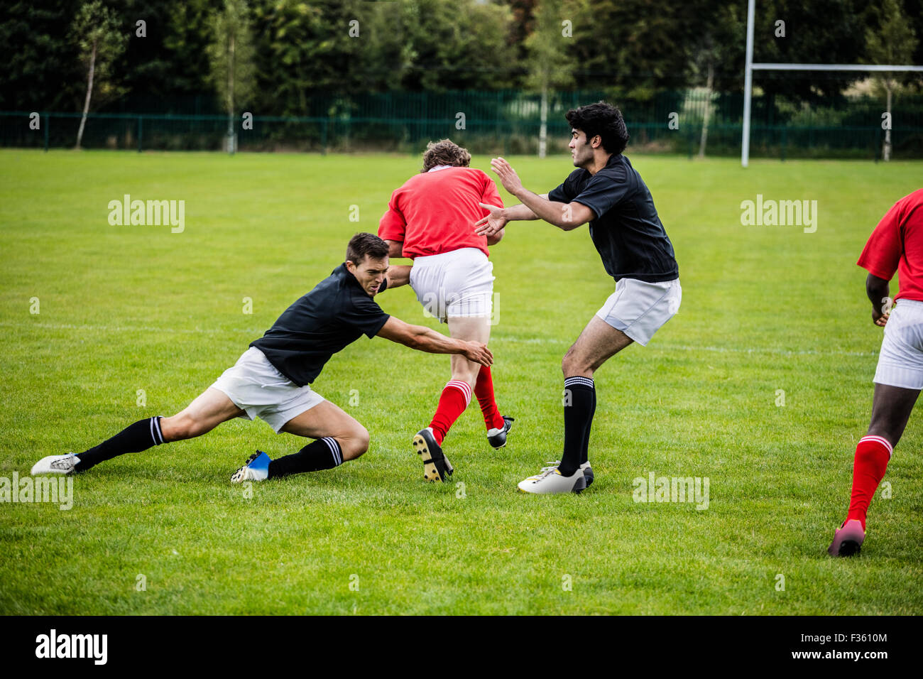 Rugby players playing a match Stock Photo - Alamy