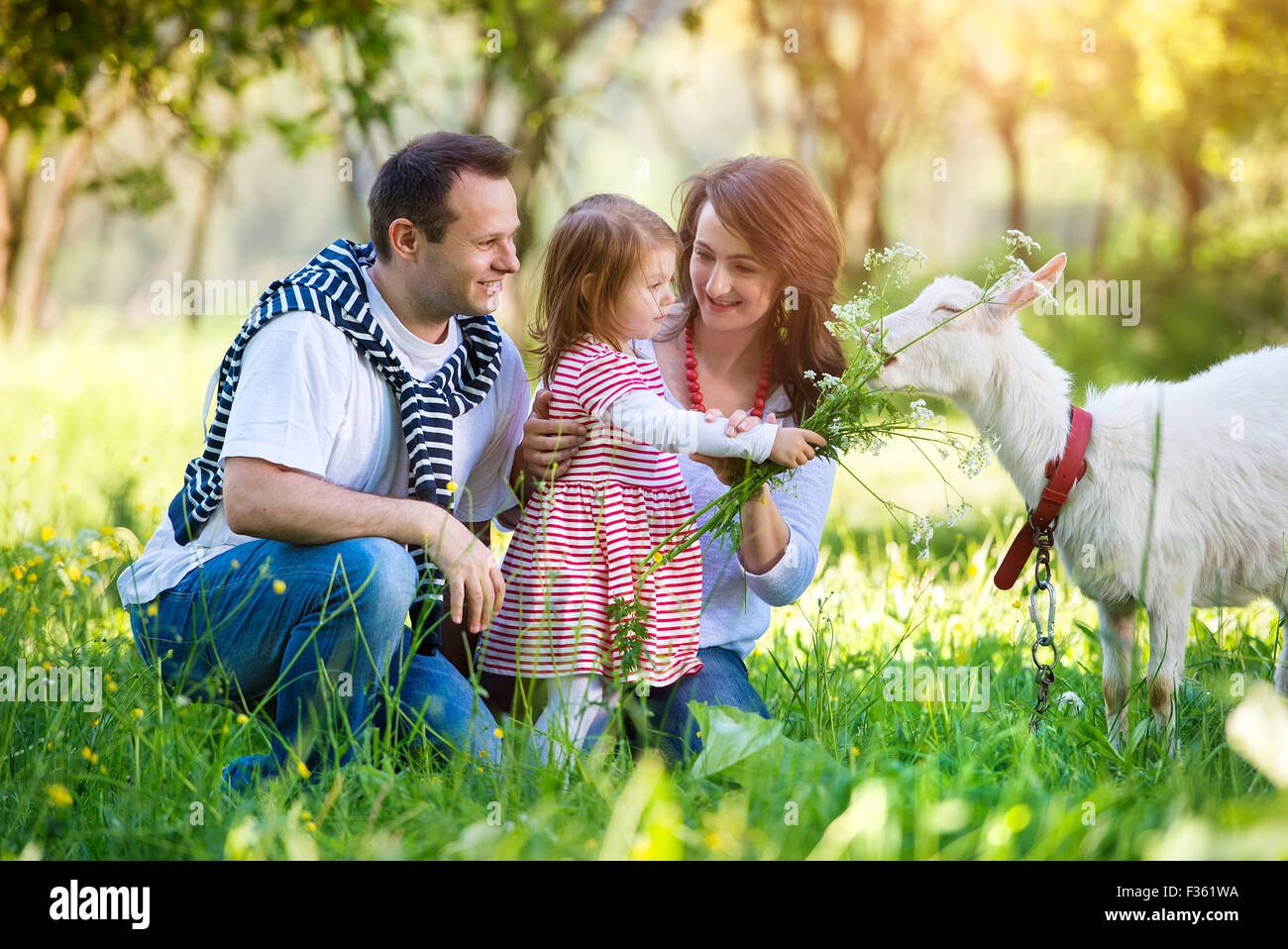 Happy family in nature Stock Photo - Alamy