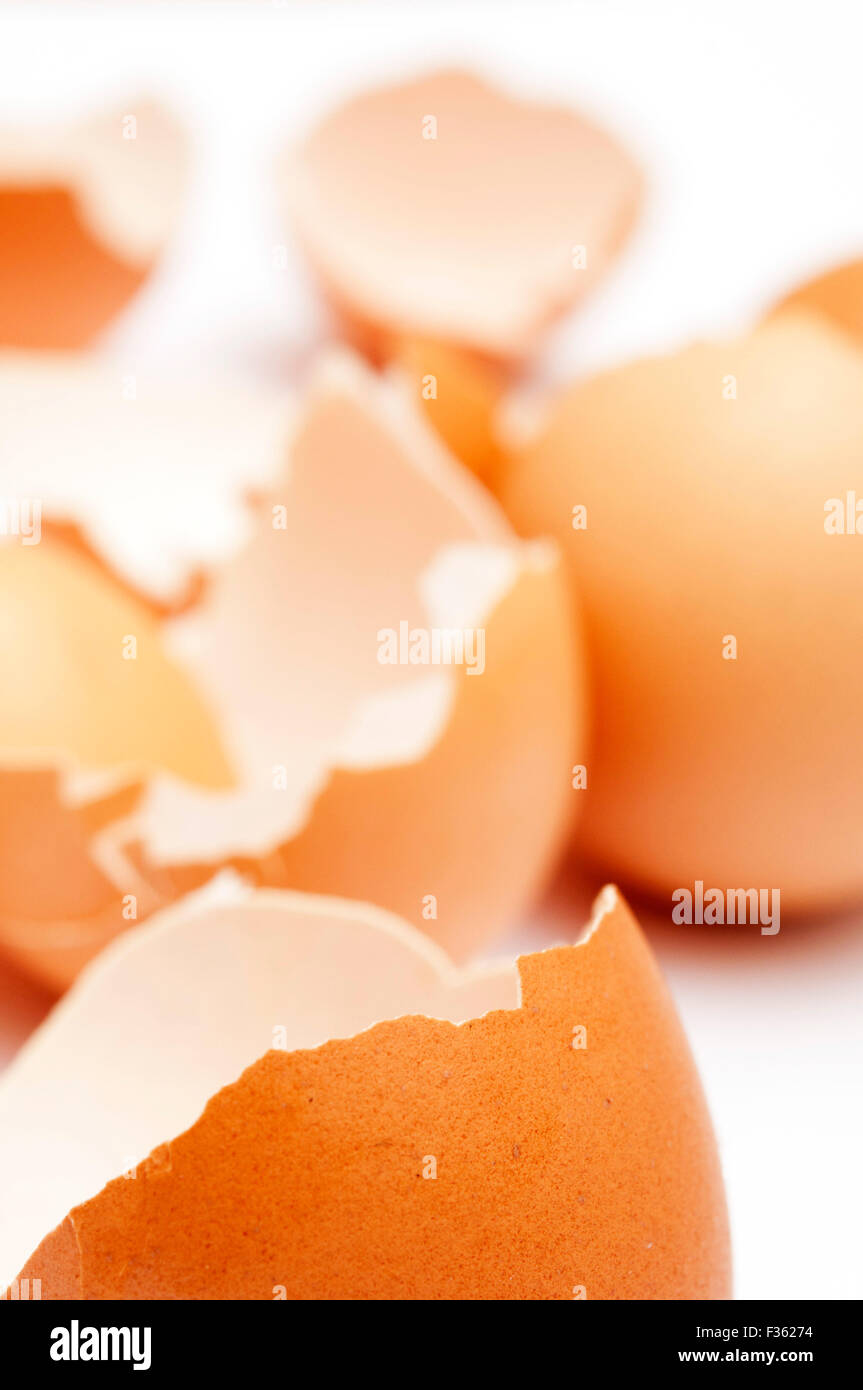 broken eggs shells Stock Photo - Alamy