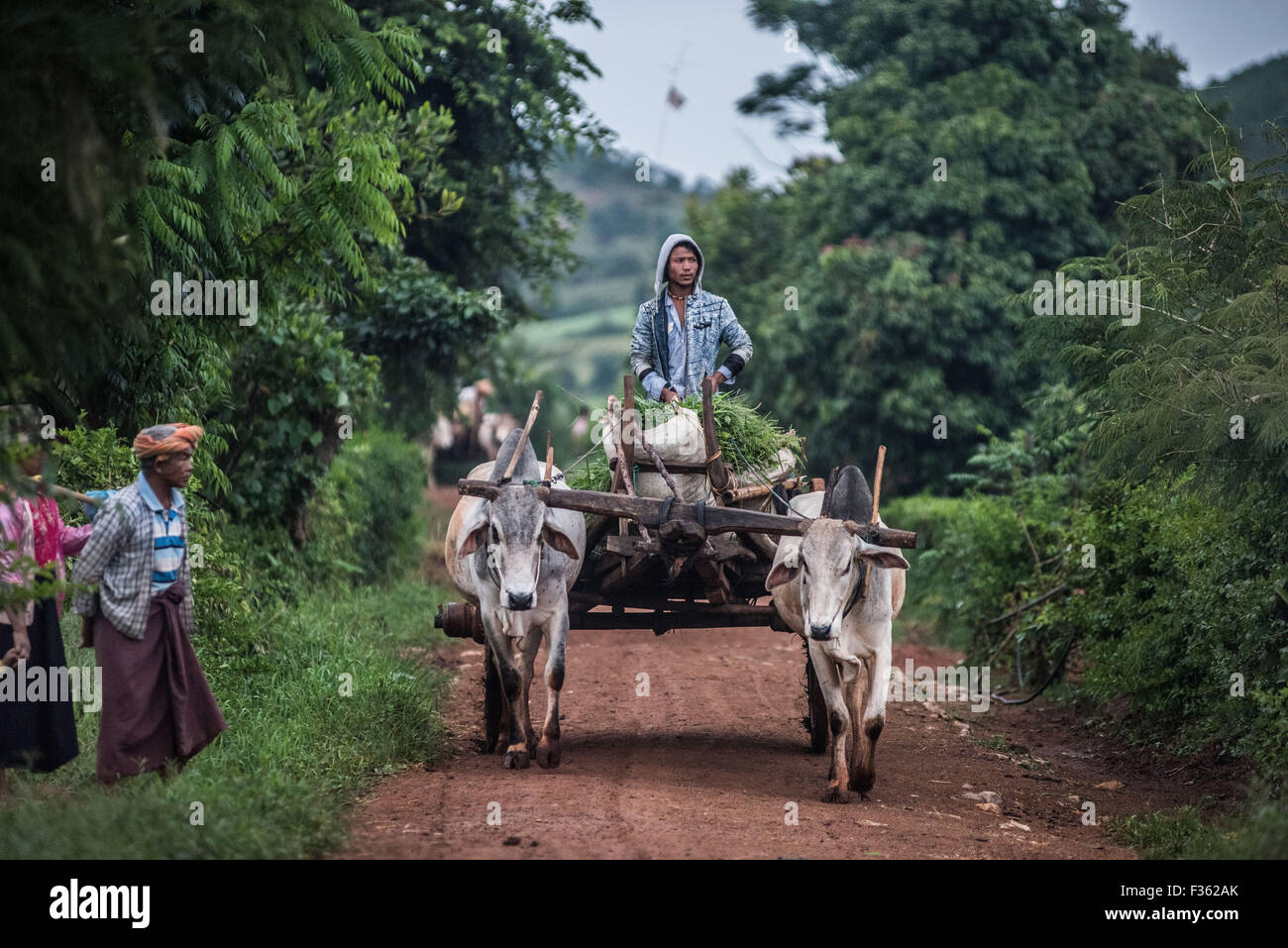 Street scene in small village near Kalaw, Shan State, Myanmar Stock ...