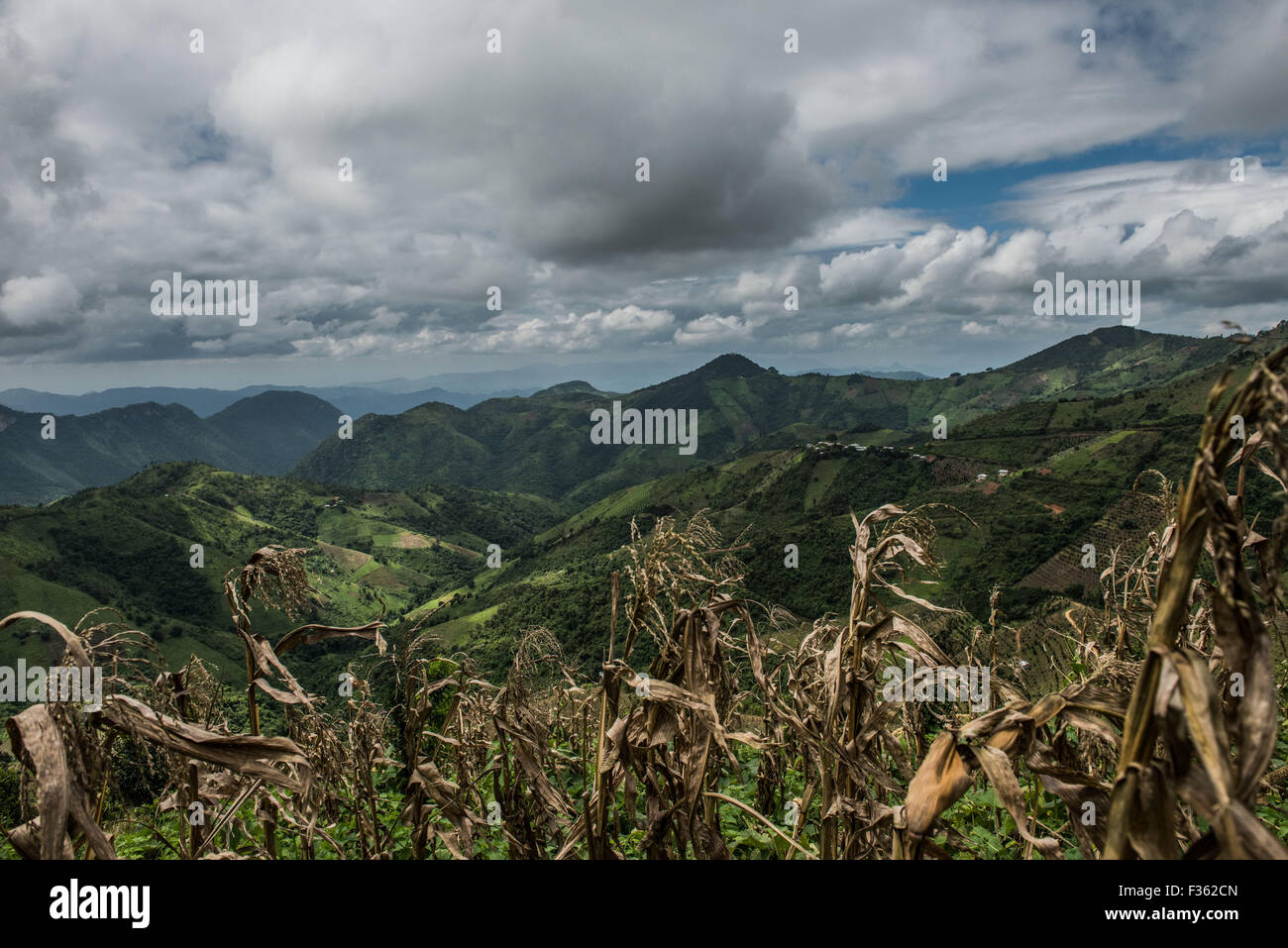 Mountain scenery outside Kalaw, in Shan State, Myanmar Stock Photo - Alamy
