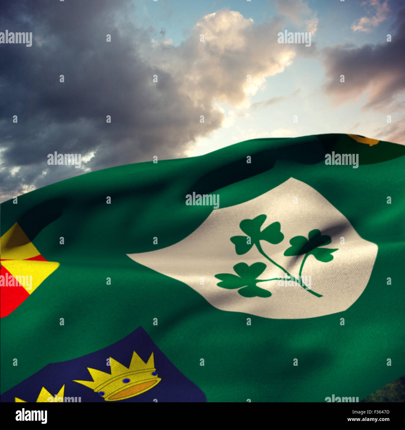 Composite image of flag of the irfu with the centenary logo Stock Photo ...