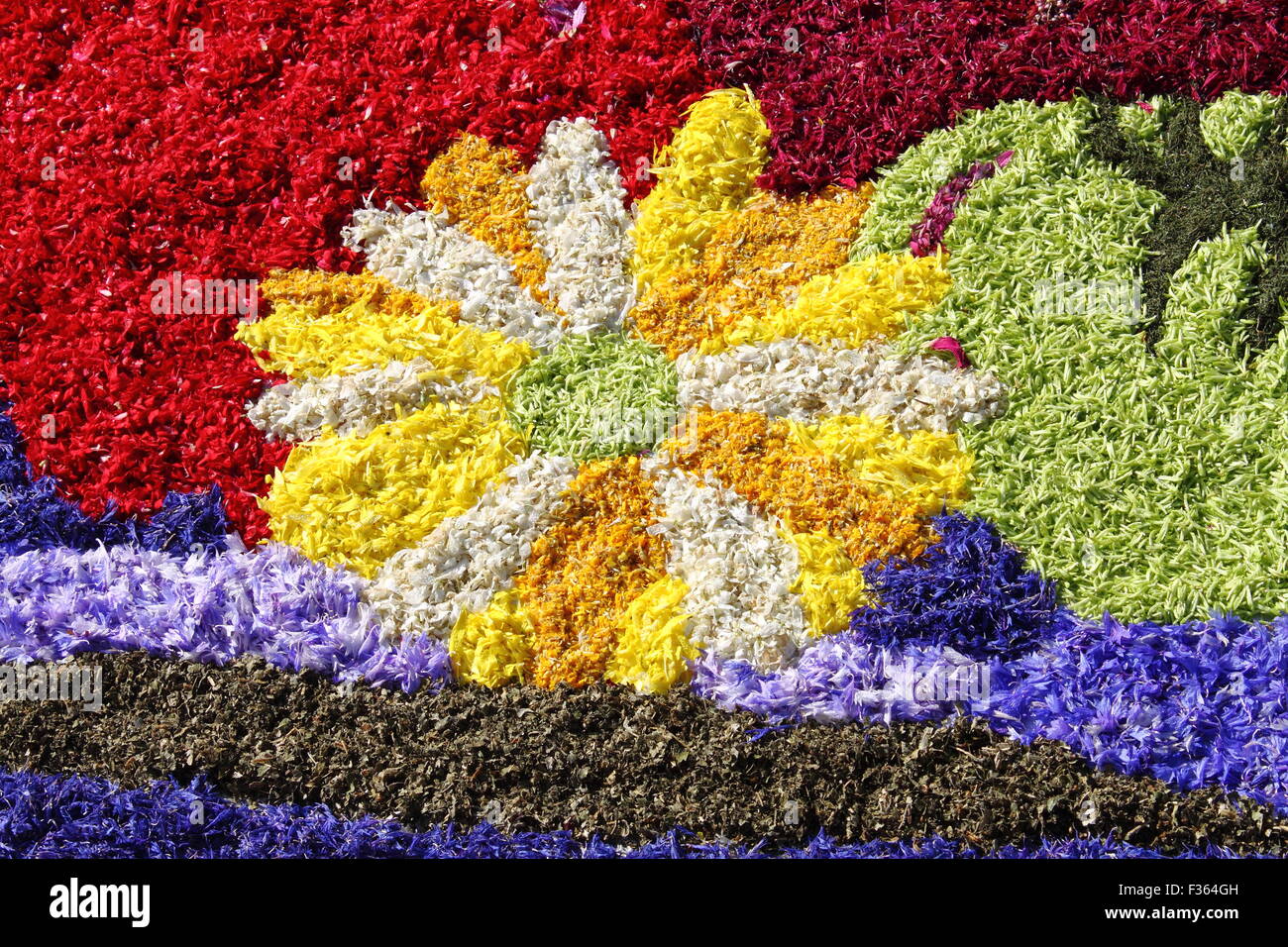 Petals Carpet High Resolution Stock Photography and Images - Alamy