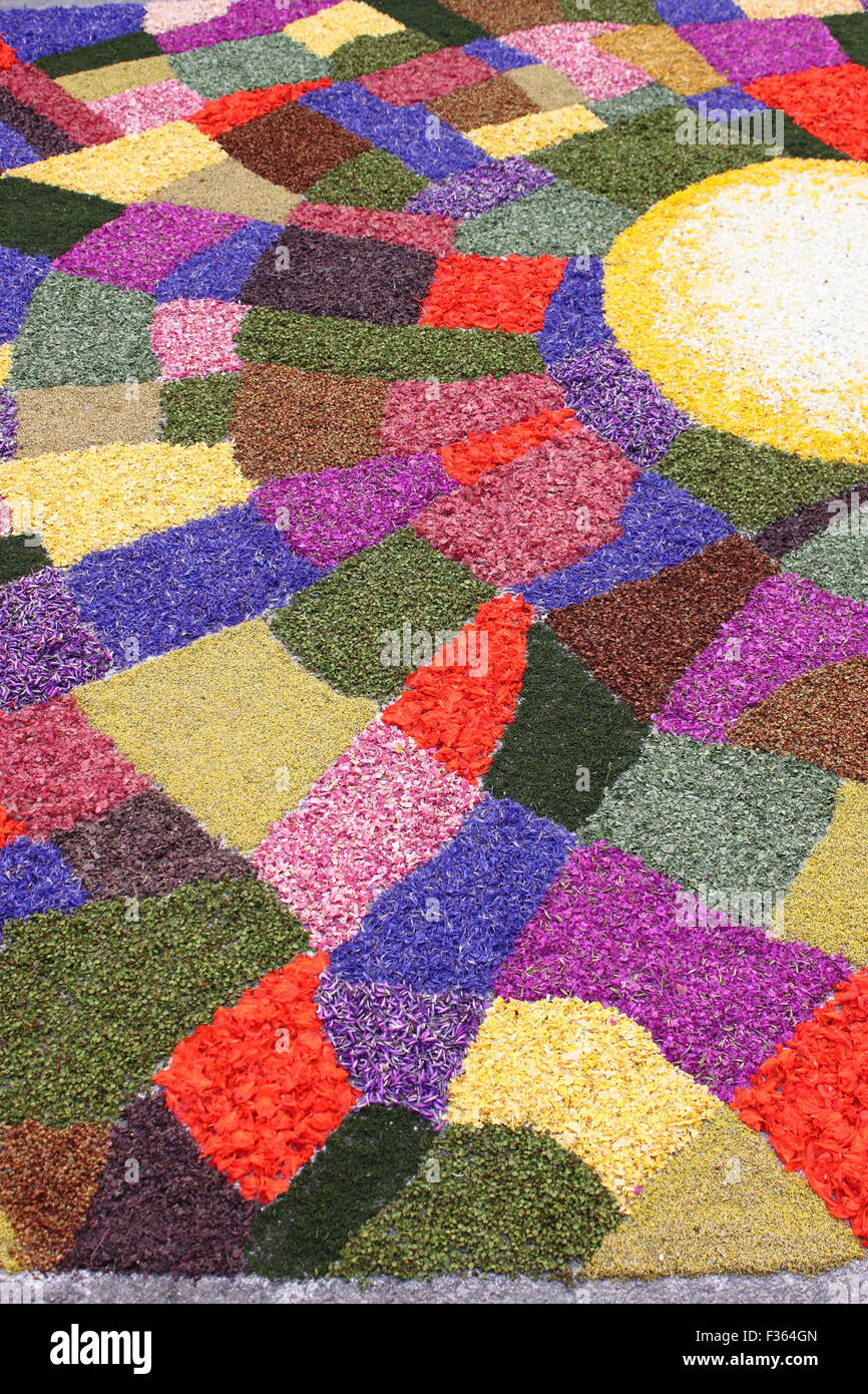 Multicolored floral carpet made with flower petals Stock Photo - Alamy