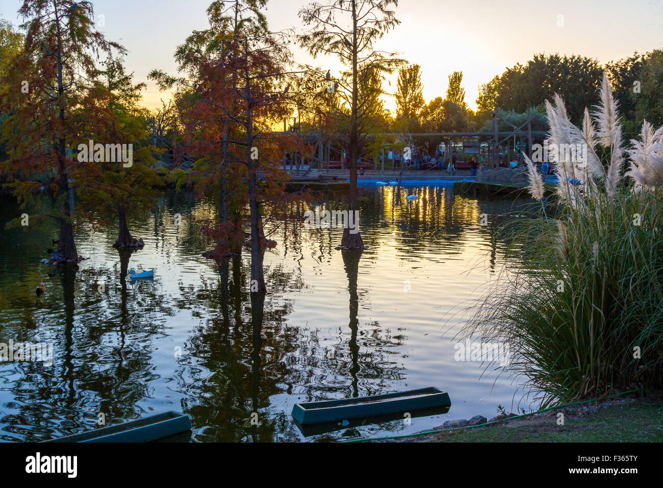 Beautiful lake with trees hi-res stock photography and images - Alamy