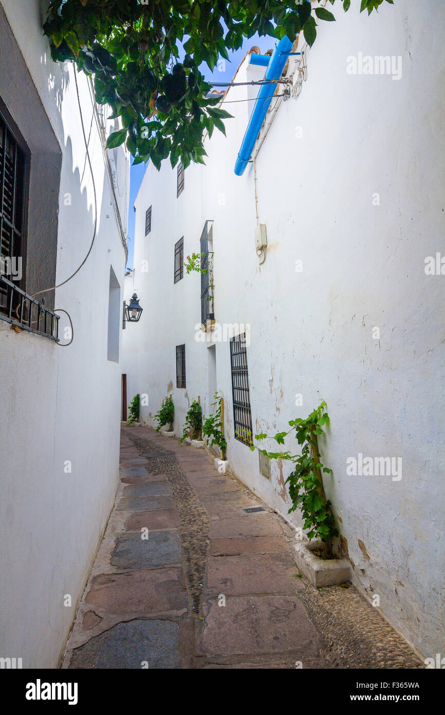 Typical nice clean city streets Cordoba, Spain Stock Photo - Alamy