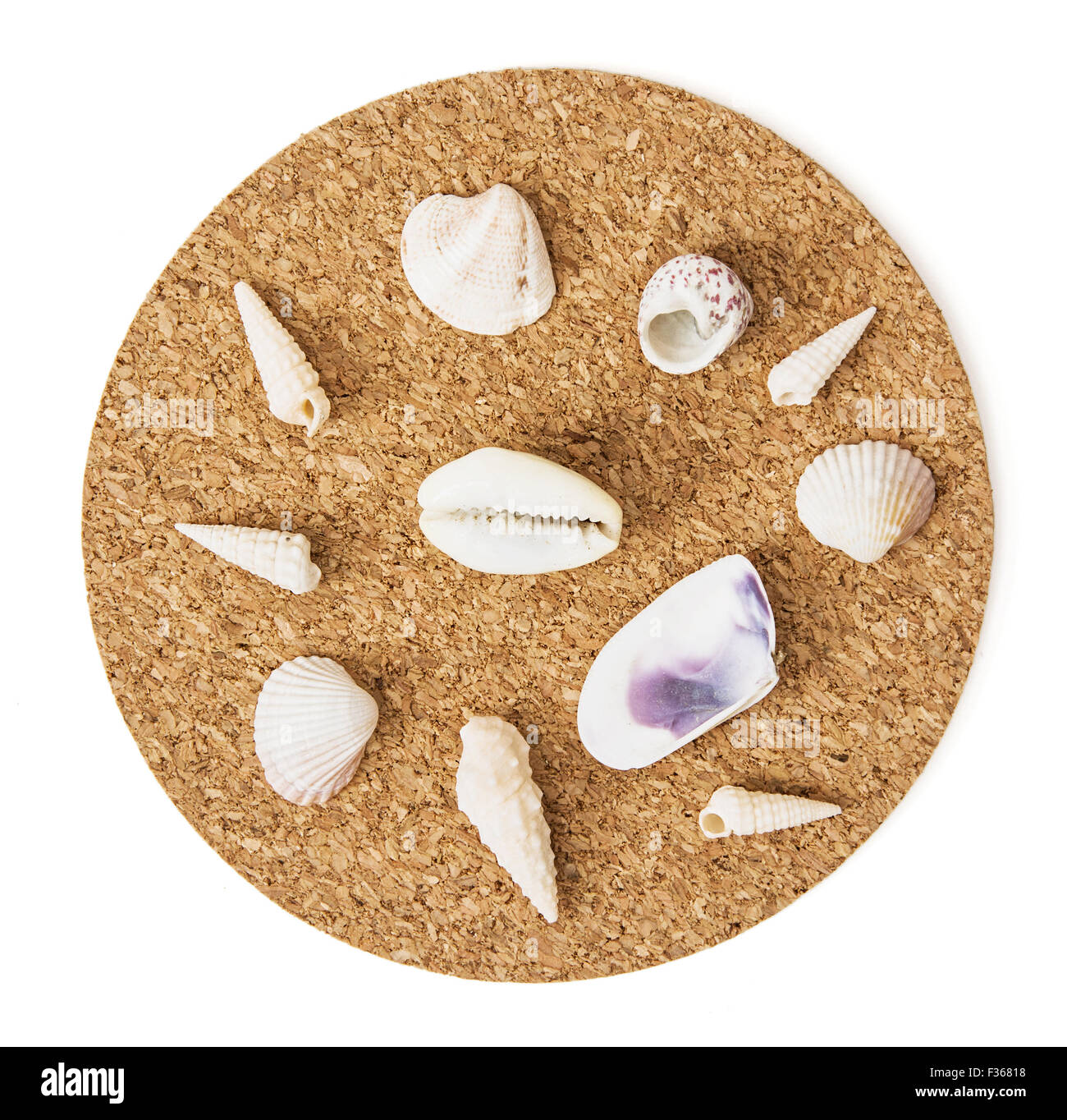 Various seashells on the circular cork base. Isolated. Sea theme Stock ...