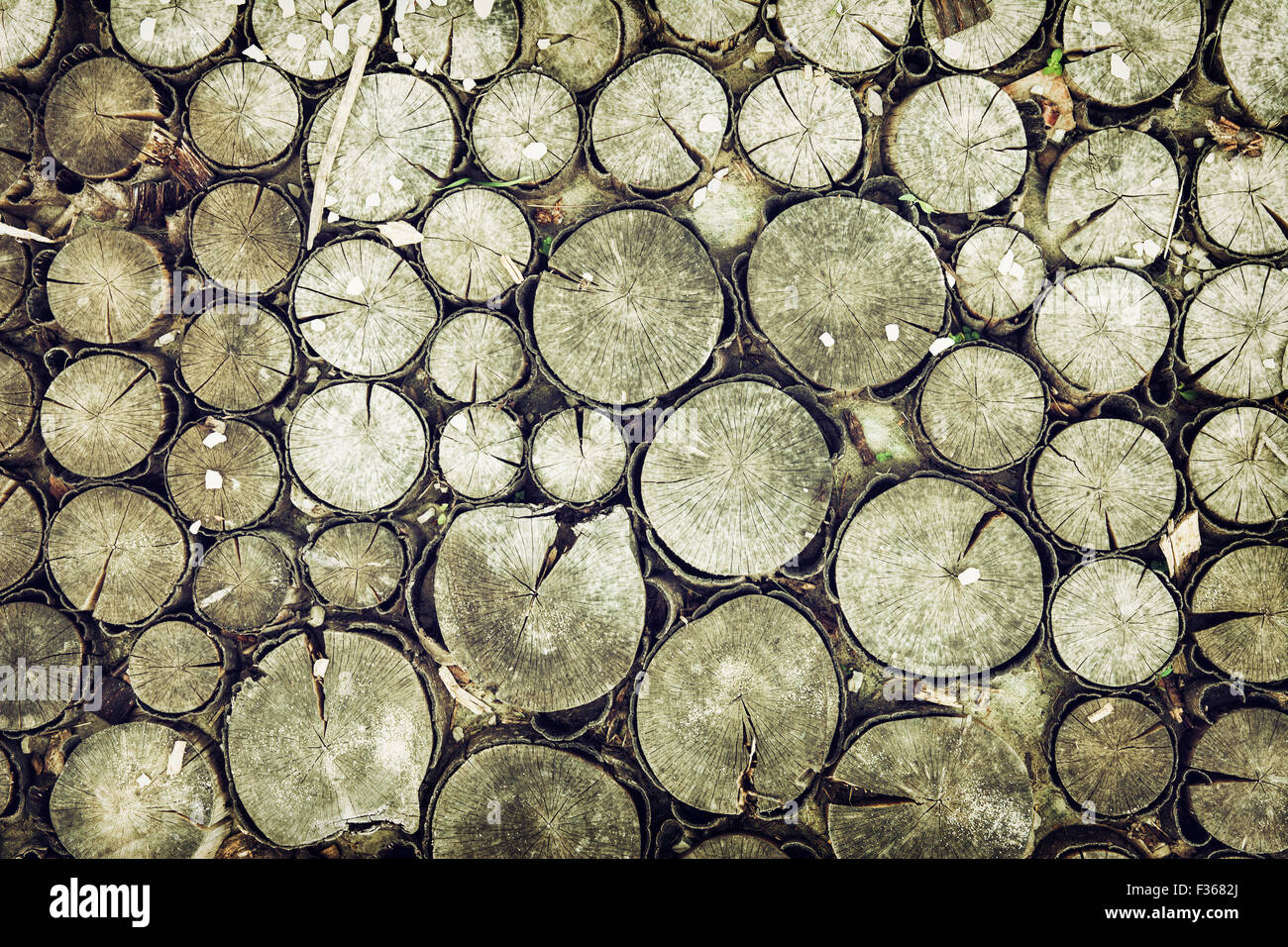 Chopped wood background. Wood industry. Lumber theme Stock Photo - Alamy