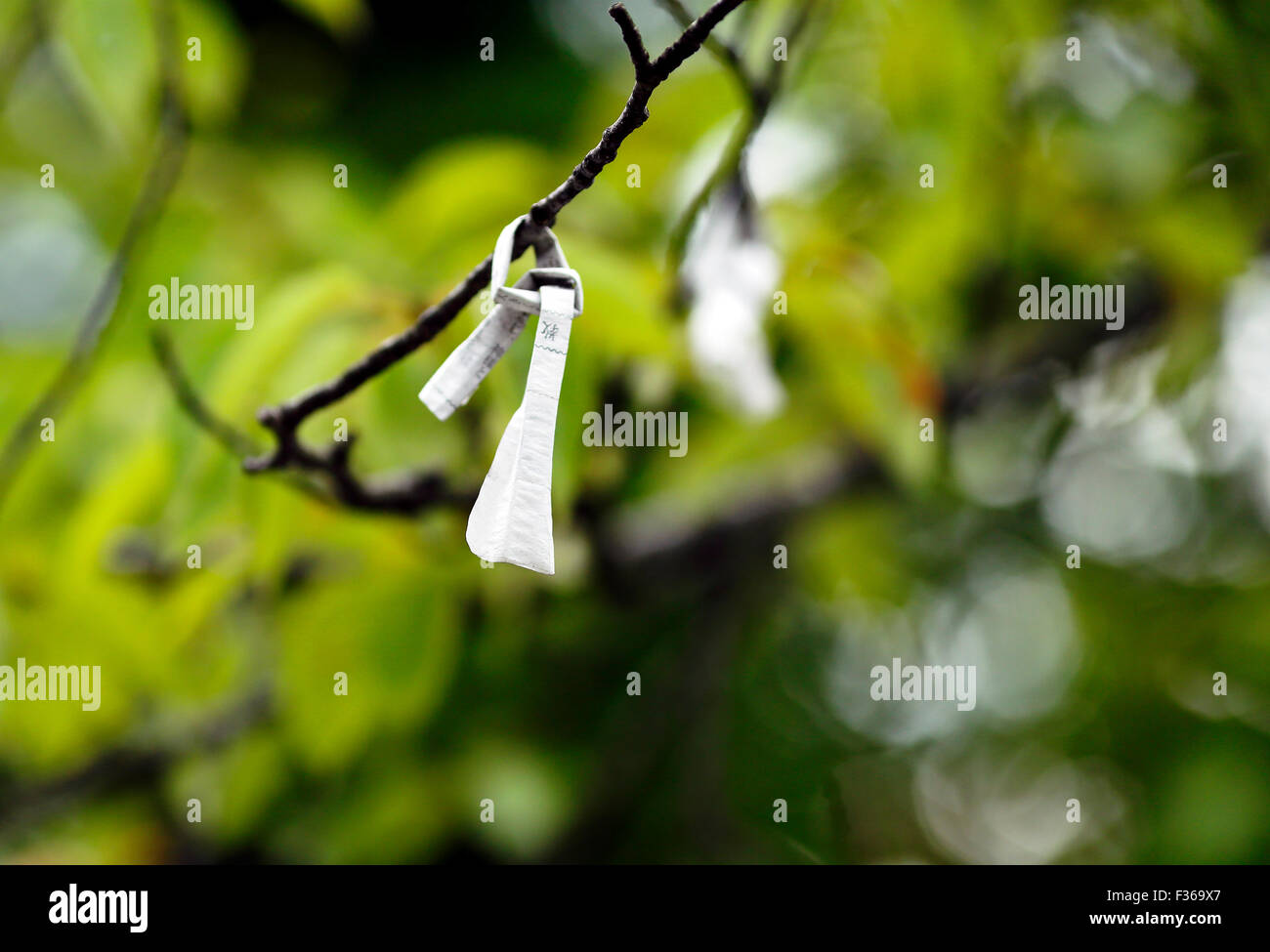Omikuji hi-res stock photography and images - Alamy