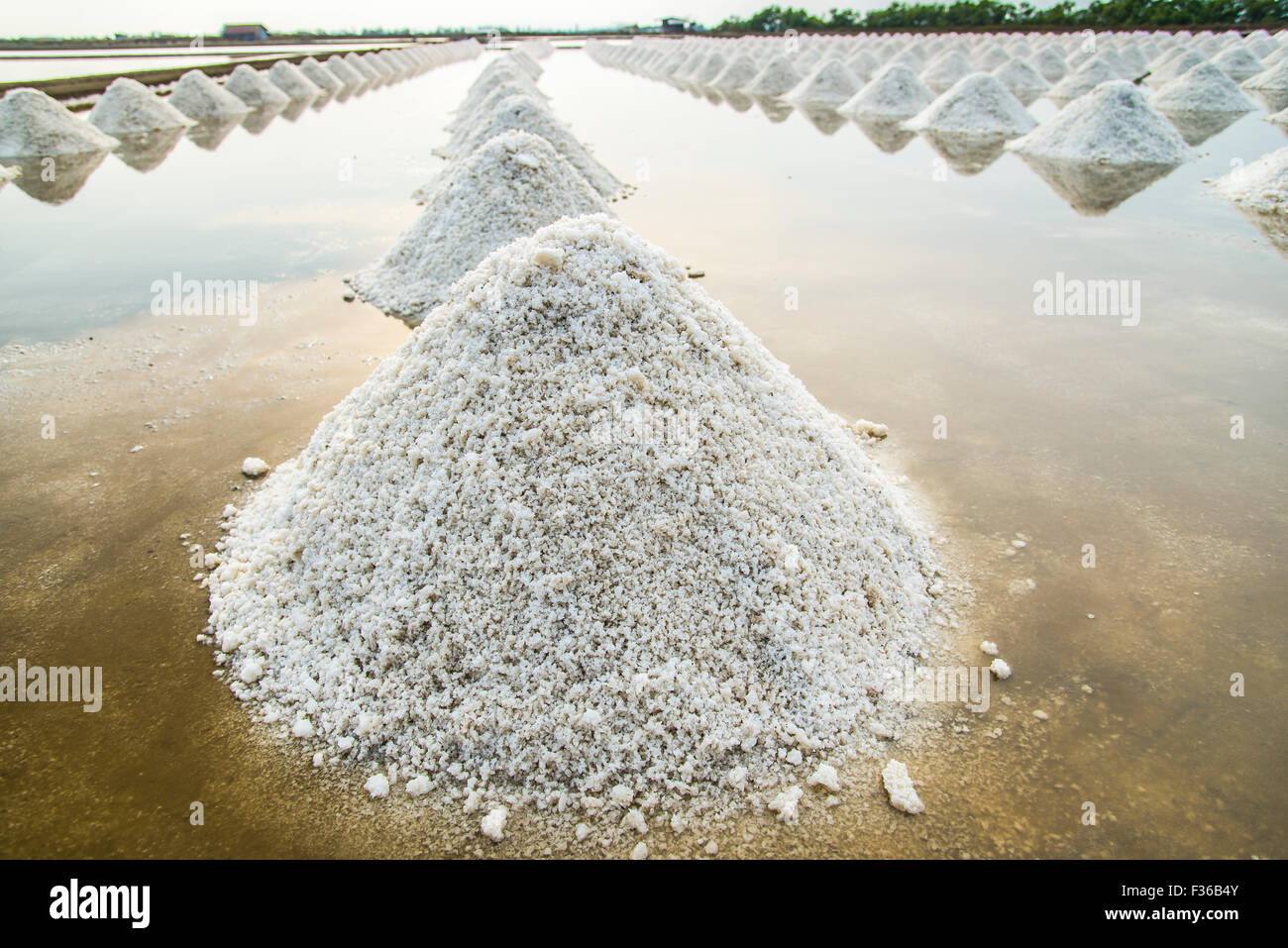 Row of pile salt in salt farm1 Stock Photo - Alamy
