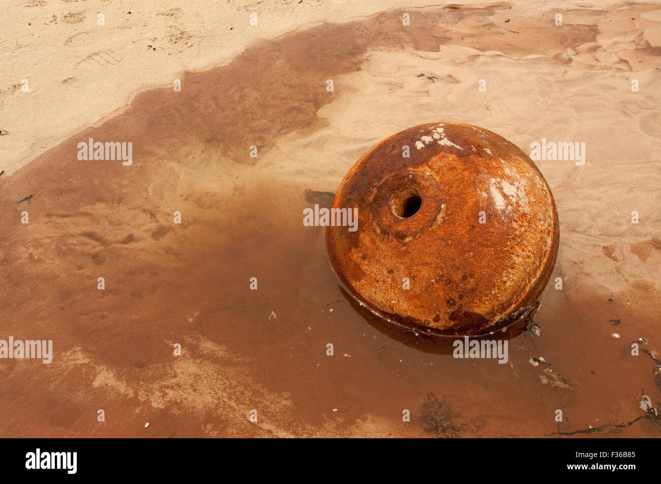Washed Up Buoy High Resolution Stock Photography and Images - Alamy