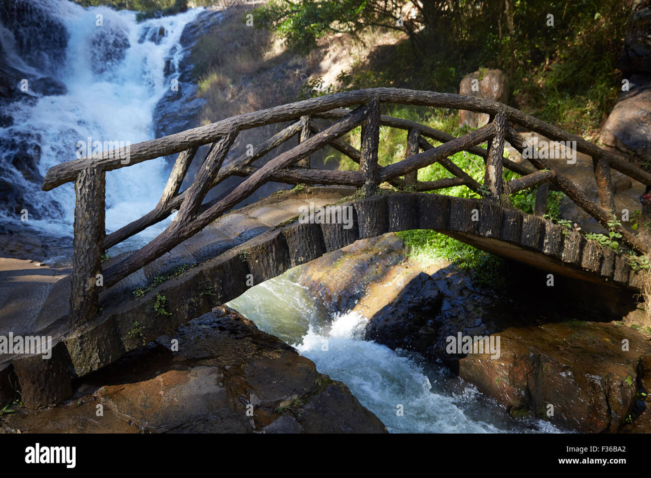 bridge of logs across a stream in a forest in Vietnam Stock Photo - Alamy
